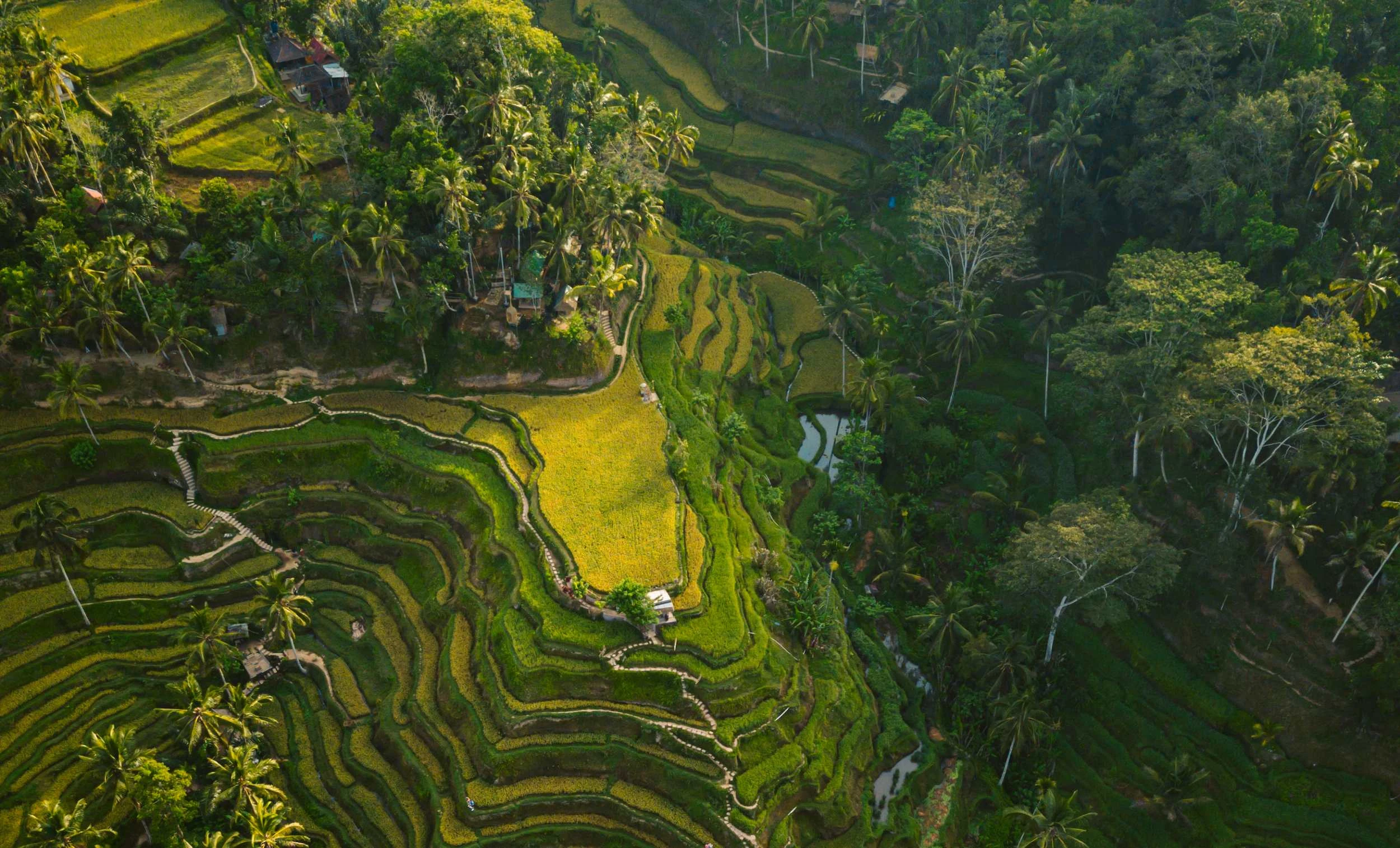 Sustainability ― Elementis